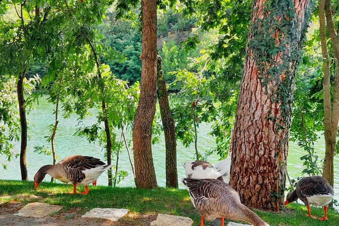 Vineyards, Wine Tasting & Scenic Lake Boat - From Durres/Tirana - Cultural Insights Into Albanian Wine