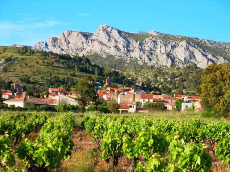 vingrau : wine tasting - Discovering Vingrau: A Genuine Wine Tasting Experience in Occitanie