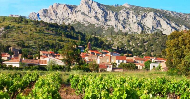 vingrau : wine tasting - FAQ