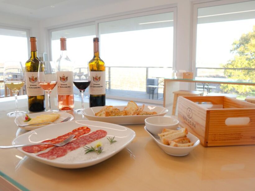 Vinha D'Ervideira Experience - Why This Tour Works Well for Travelers