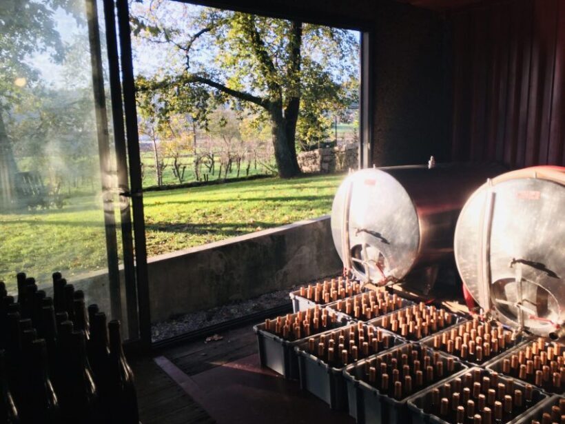 Vinho Verde 2 Wineries + Guimarães - from Porto - What Makes This Tour Stand Out?