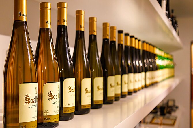 Vinho Verde Experience with 2 Wineries and Lunch - Final Thoughts: Who Will Love This Tour?