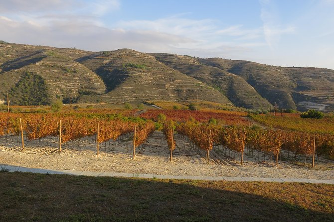 Vino Venture: Explore With a Local - Troodos Mountains Thru Wine! - Discover Cypriot Wines