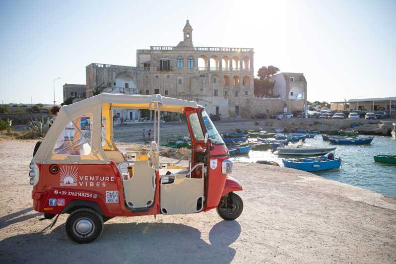 Vintage Ape Calessino: Polignano a Mare Tours - Vehicle and Driver Information