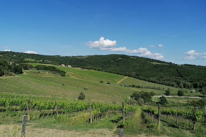 Vintage Fiat 500 Chianti Classico Wine Tour and Tuscan Lunch - Indulge in Traditional Tuscan Lunch
