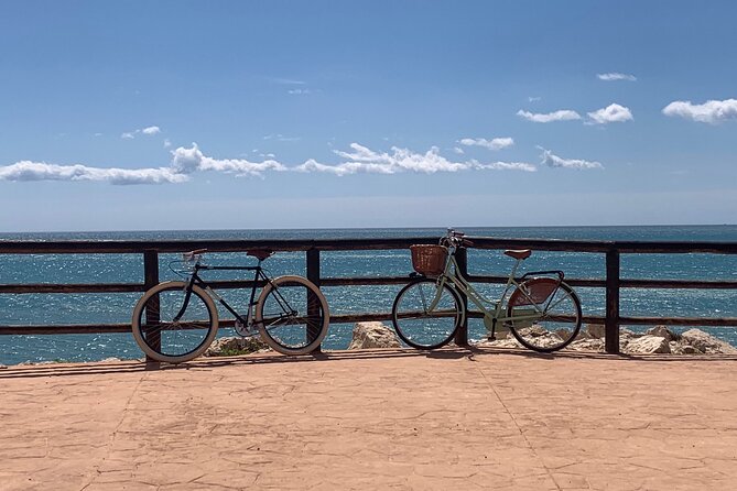 Vintage Style Bike Rental in Malaga - FAQ