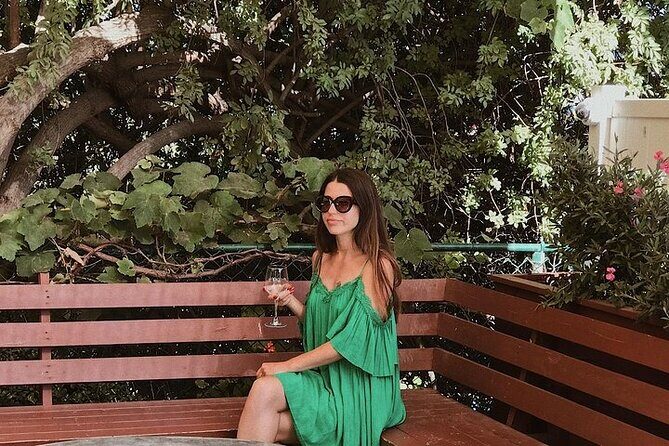 Vintage VW Hippie Shared Tour to Malibu with Wine Tasting - Final Thoughts: Who is this tour best suited for?
