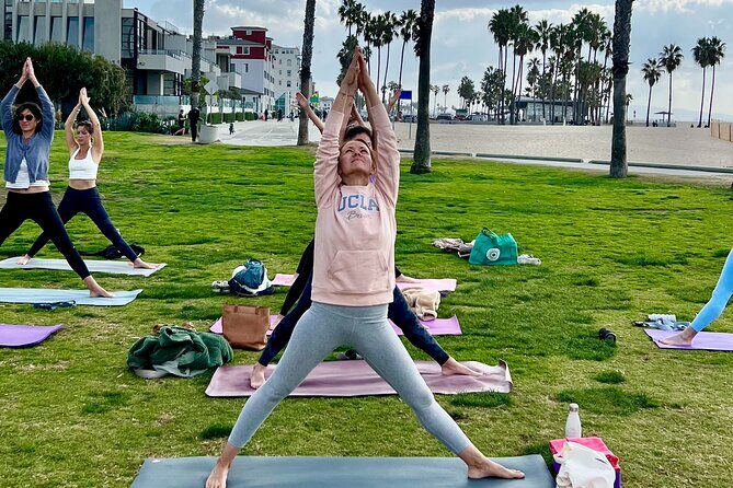 Vinyasa Yoga Class on the Beach in Santa Monica in French - What to Expect from Your Beachside Yoga Experience