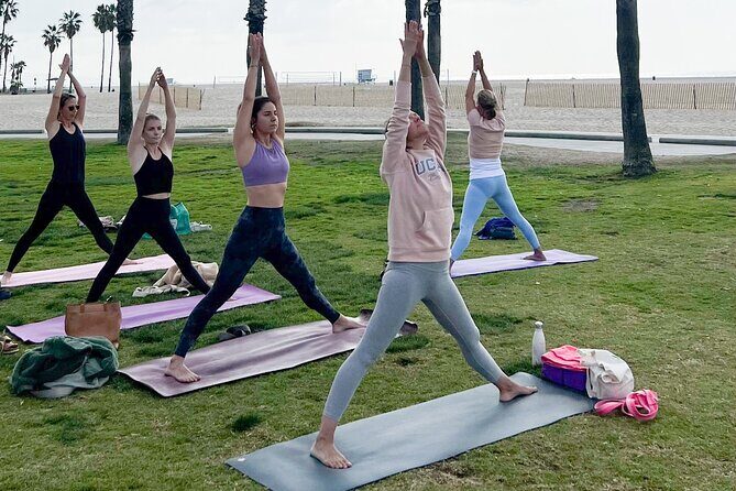 Vinyasa Yoga Class on the Beach in Santa Monica in French - Deep Dive into the Experience