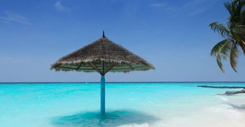 VIP 5 islands w.lunch,rum,vodka, beer, snorkeling, plankton - Exploring the Rosario Islands: A detailed look at the experience