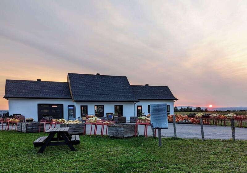 VIP Agritourism Tour of Île d'Orléans & Montmorency Fall - Final Thoughts: Is This Tour Right for You?
