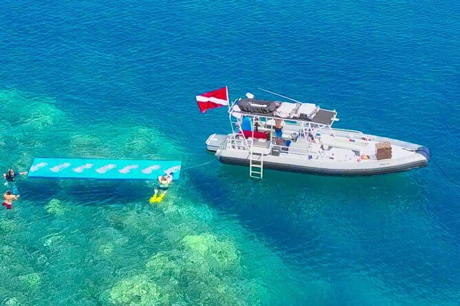 VIP Aloha Nui Snorkel Adventure w/ optional SCUBA from Lahaina - Who is This Tour Best For?
