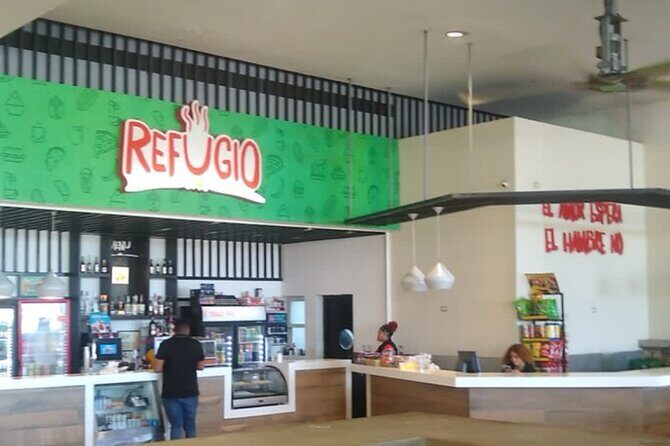 VIP and Luxury Transfert from Punta CanaAirport - The Transfer Experience: What’s in Store