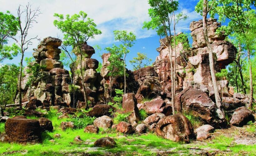 vip backpacker Litchfield - An Adventure-Filled Day in Litchfield