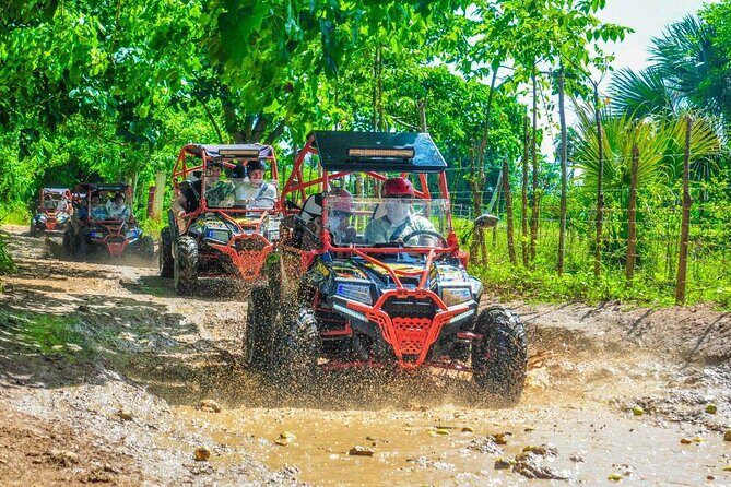 VIP Buggy Adventure Offroad to Macau Beach - Introduction: Is the VIP Buggy Adventure Right for You?