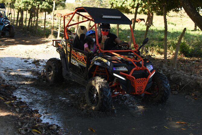 VIP Caribbean Terracross with Macao Beach and Cave - What Makes This Tour Stand Out