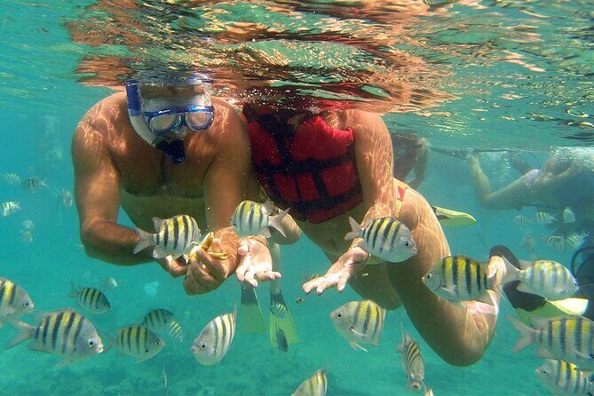 VIP Catamaran with Snorkeling - What to Expect on the Itinerary