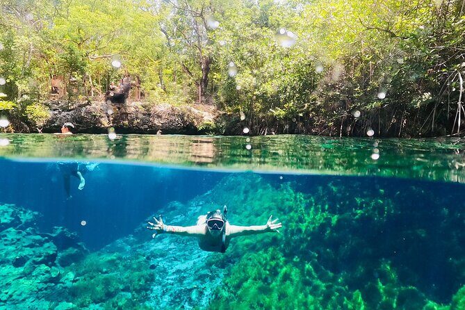 VIP Cenotes & ATVs Private Tour - Who Would Love This Tour?