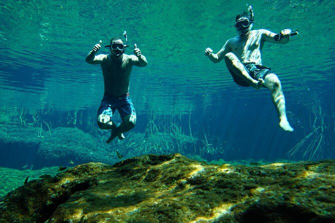 VIP Cenotes Private Tour - Authentic Insights from Travelers