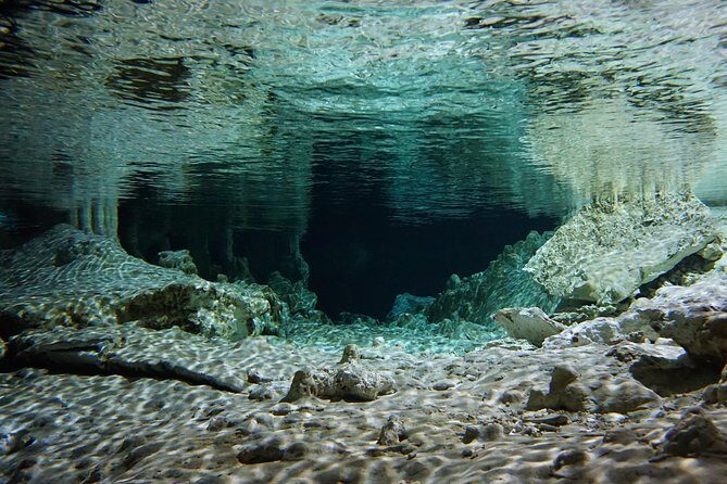 VIP Cenotes Private Tour - Transportation and Timing: Why It Matters