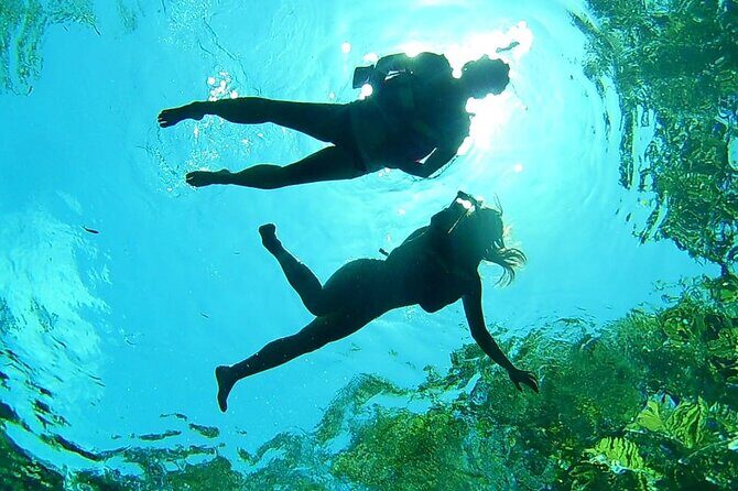 VIP Cenotes Private Tour (half-day) - Why Choose This Tour?