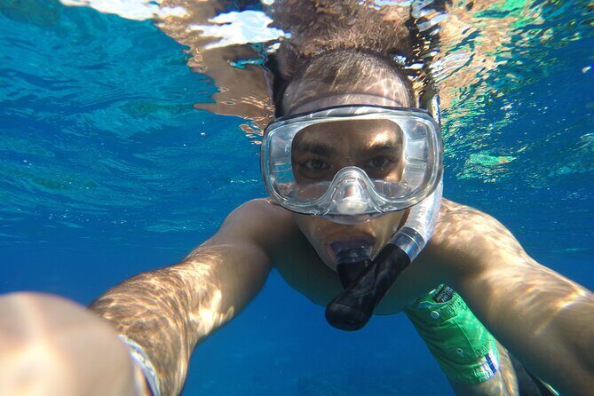 VIP Cenotes Private Tour (half-day) - Timing and Booking