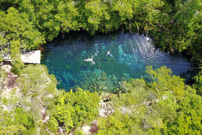 VIP Cenotes & Turtles Private Tour - Final Thoughts