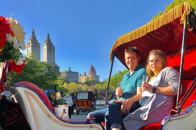 VIP Central Park Champagne Tour with Photos(50 min)~Skip the line - An In-Depth Look at the Central Park Champagne Carriage Ride