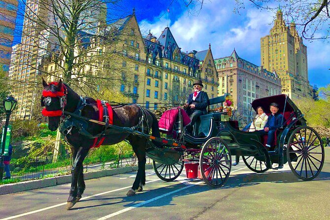 VIP Central Park Experience Tour with photos 50min~Skip the line - Key Points