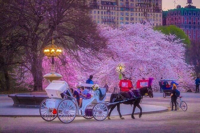 VIP Central Park Experience Tour with photos 50min~Skip the line - Value for Money and Pricing