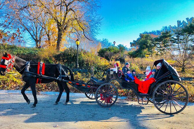VIP Central Park Experience Tour with photos 50min~Skip the line - FAQ