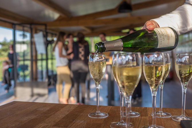 VIP Champagne Region Day Trip With 7 Tastings & Lunch From Paris - Tour Inclusions