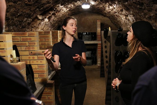 VIP Champagne Region Day Trip With 7 Tastings & Lunch From Paris - Gourmet Lunch and Champagne Pairings