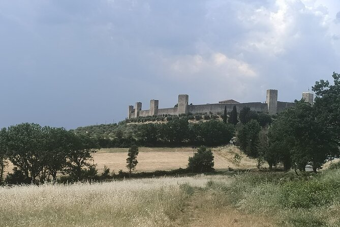 VIP Chianti, Montalcino & Pienza With Lunch From Siena - Exploring Montalcino and Its Fortress