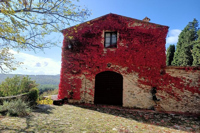 VIP Chianti, Montalcino & Pienza With Lunch From Siena - Enjoying a Tuscan Lunch