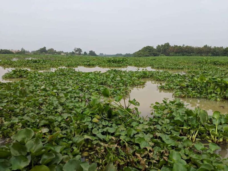 VIP Cu Chi Tunnels & Mekong Delta Full Day Tour From HCMC - Who Should Consider This Tour?
