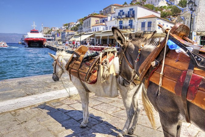 VIP Day Cruise From Athens to Hydra, Poros and Aegina - Island Explorations