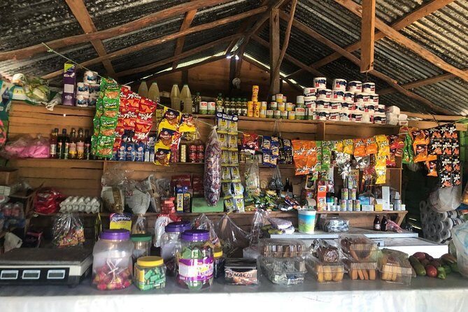 VIP DayPass: ATV, ZipLine, Horse Riding / Shore Excursion & Hotel - A Deep Dive into the Experience