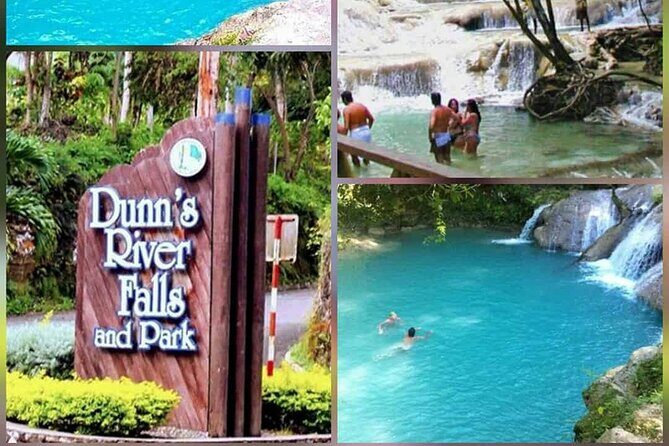 VIP Dunn River Falls and Blue Hole Experience - Introduction: What Makes This Tour Stand Out?