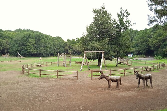 VIP experience in Magica Gomera - Transportation and Group Size