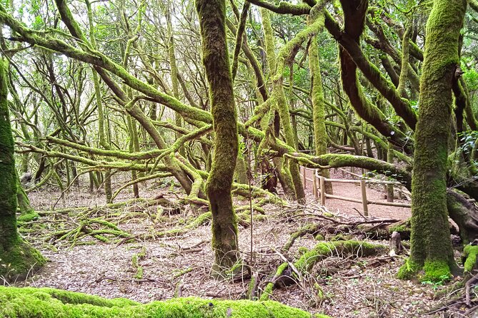 VIP experience in Magica Gomera - FAQ