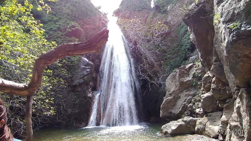 VIP Full-Day Private Tour (See the best with Professionals) - FAQs