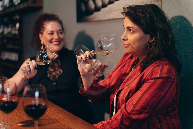 VIP Full Day Wineries Tour From Istanbul - Accessibility Features