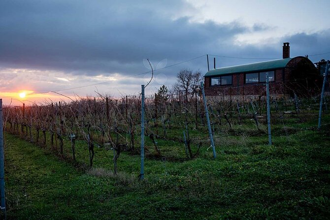 VIP Full Day Wineries Tour From Istanbul - Wine Tasting Menus and Local Food Pairings