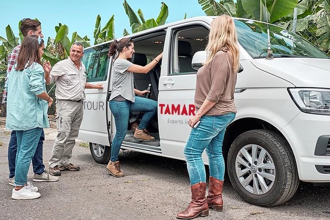 VIP Grand Tour Isla De Tenerife From South Tenerife - Key Points