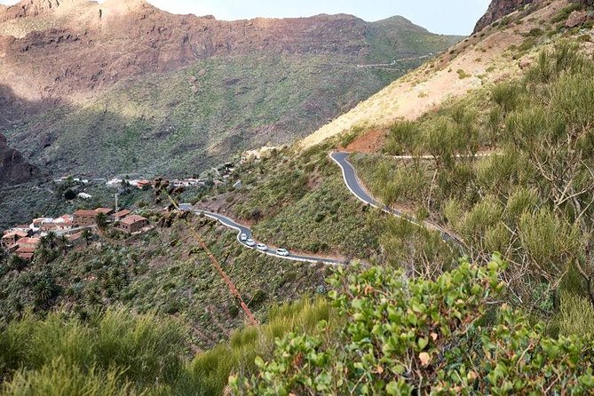 VIP Grand Tour Isla De Tenerife From South Tenerife - Meet Your Expert Driver/Guide