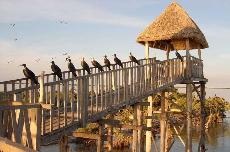 VIP Holbox Island Sunrise - 2 Points + Fruit + Coffee - Final Thoughts: Is This Tour Right for You?
