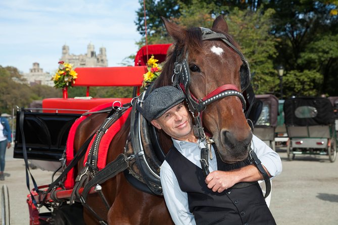 VIP Horse Carriage Ride through Central Park (Up to 4 Adults) - The Sum Up