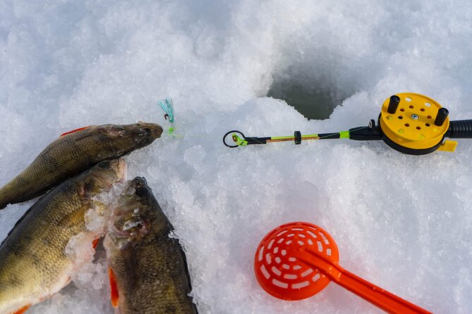 VIP Ice Fishing ICEBREAKER Lunch in Glass Igloo - Lunch and Dining Options