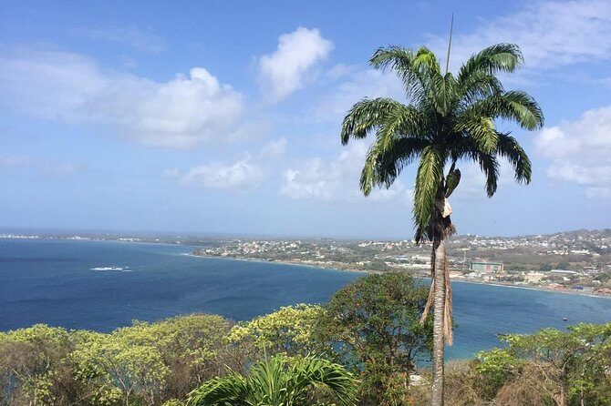 VIP Inclusive Private Tour of Island (Lunch, Drinks + Snorkeling) - Discovering Tobago’s Top Highlights in One Day